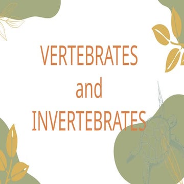 Vertebrates and Invertebrates PPT for Students.pptx