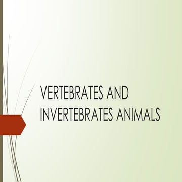 VERTEBRATES AND INVERTEBRATES ANIMALS G6.pptx
