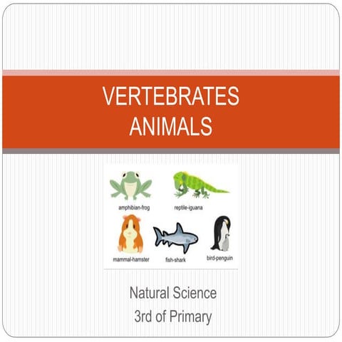 Vertebrates animals | PPTX