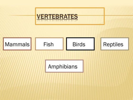 Mammals,fish,reptiles,birds,amphibians | PPT | Reptiles | Pets