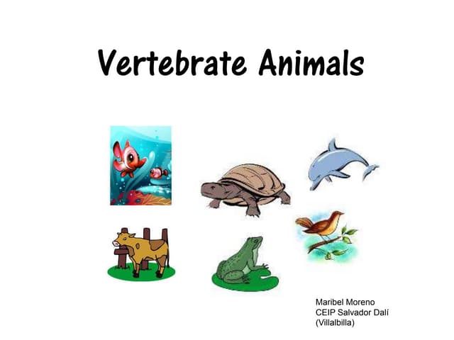 Vertebrates | PPT