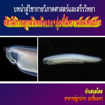 Vertebrates_Part 2 Pisces.pdf