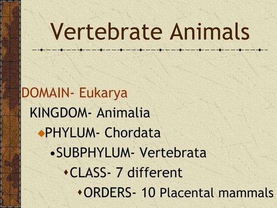 Vertebrates | PPT