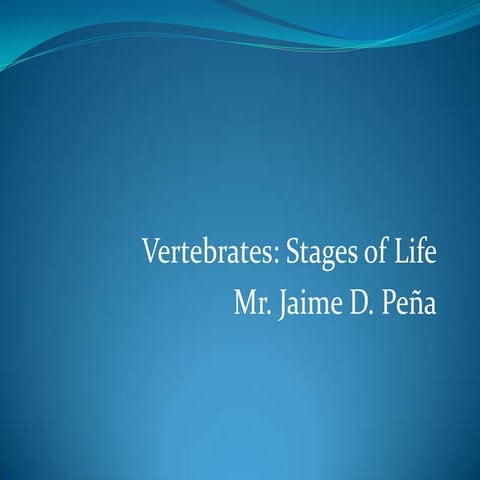 Vertebrates stages of life | PPT