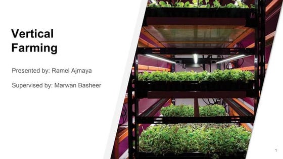 Vertical farming | Agricultural Vertical | PPT