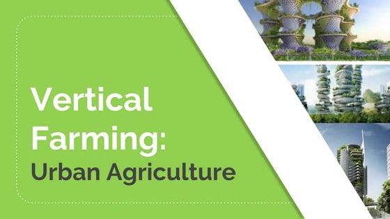 Vertical farming | PPT