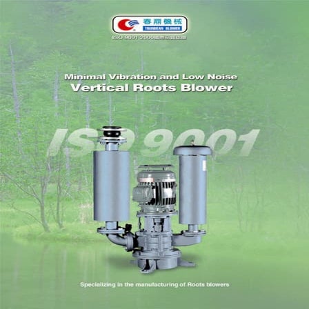 Vertical roots blower | PDF