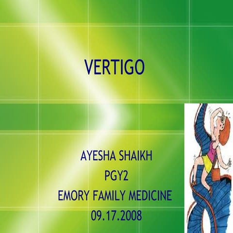 Vertigo 2010 | PPT