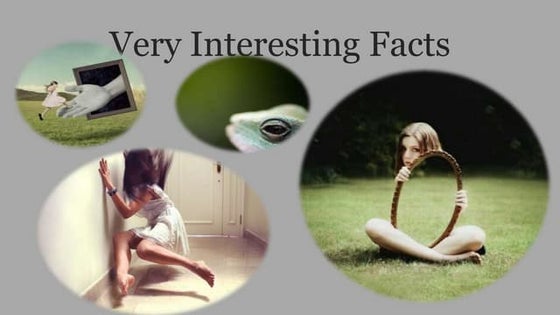 INteresting facts | PPT