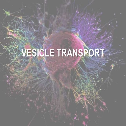 Patient profile (Taking & Components) | PPTX