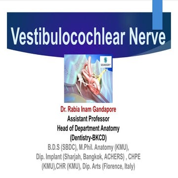 Vestibulocochlear Nerve by Dr. Rabia Inam Gandapore.pptx