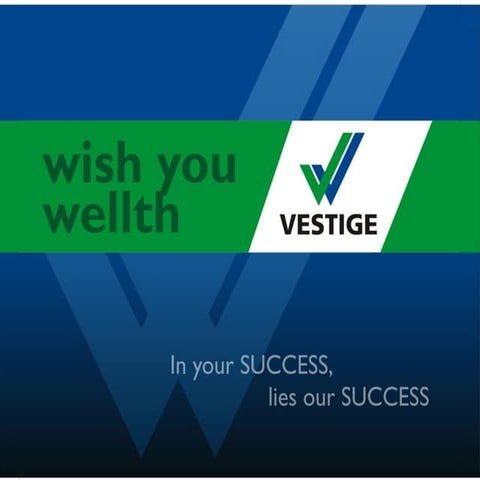Vestige products information and Business plan 2014 | PDF