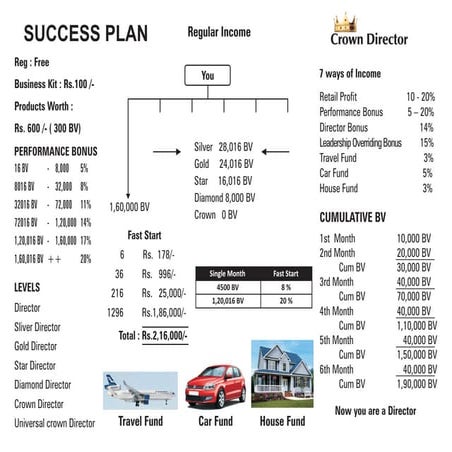 Vestige success plan 18 12 2012 | PDF