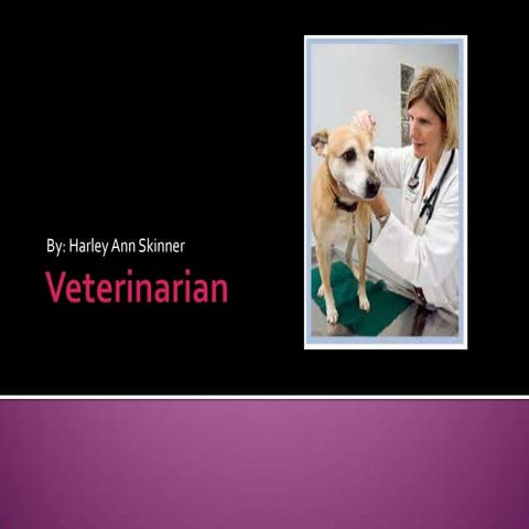 Veterinarian Career | PPTX | Veterinary Medicine | Pets