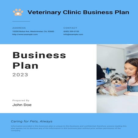Veterinary Clinic Business Plan Examples | PDF