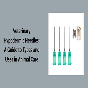 Veterinary Hypodermic Needles : A Guide to Types and Uses in Animal ...