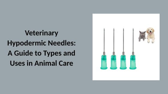The Complete Guide to Selecting the Best Anaesthetic Needle | PPT