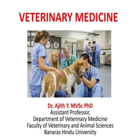 Veterinary Medicine Introduction | PPTX