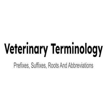 Veterinary Terminology Prefixes, Suffixes, Roots And Abbreviations | PDF