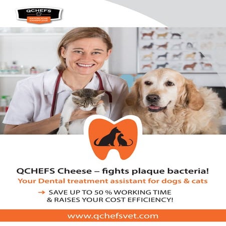 Vetflyer QCHEFS | PDF