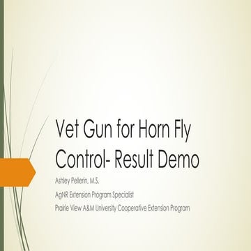 Vet gun presentation 2019 - Ashley Pellerin | PDF