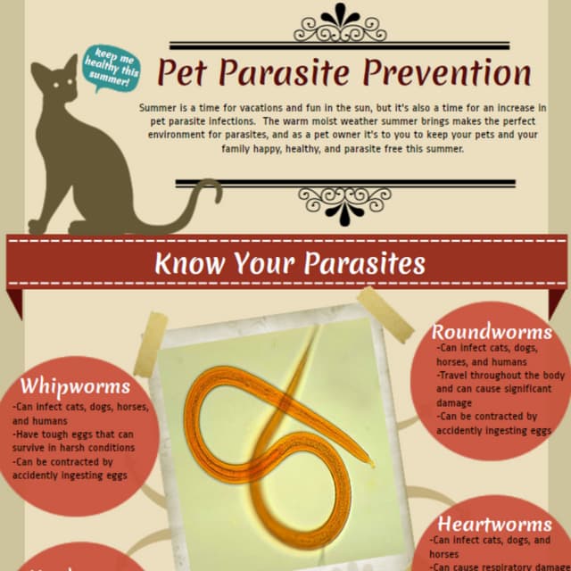 Pet Parasite Protection | PDF