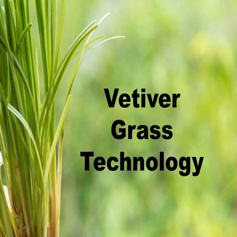 vetiver-grass.pptx