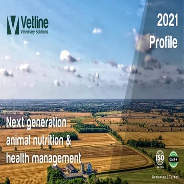 Vetline Company Profile - 2021.pdf