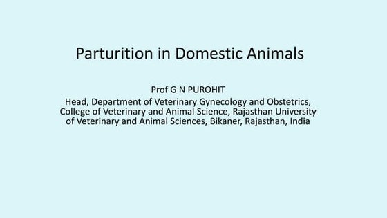 Stages of parturition in farm animals. | PPT