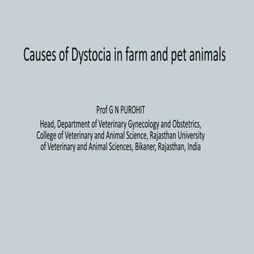 Vet obst lecture 7 Causes of dystocia in farm animals | PPTX