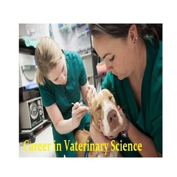 carrer in veterinary science and poultry science | PPTX