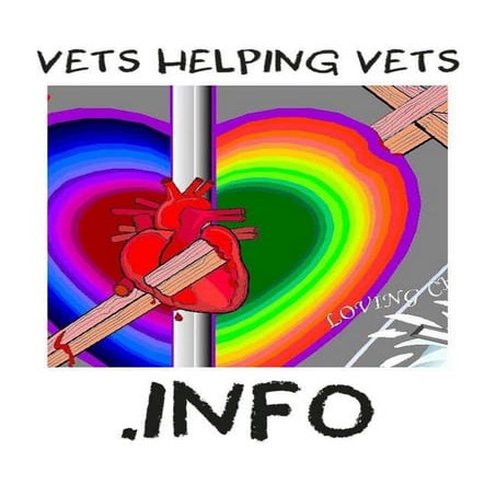 Vets helping vets 2016 | PDF