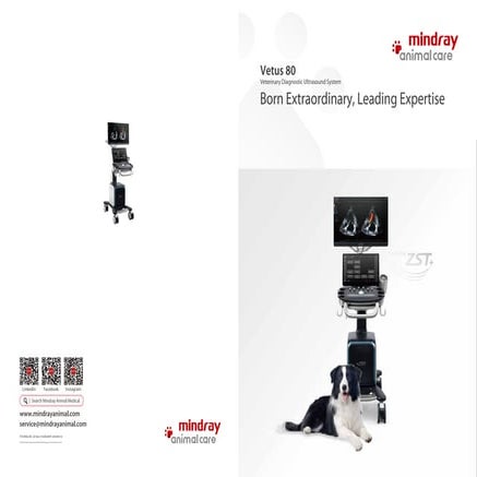 VETUS 80 Ultrasonido Veterinario mindray | PPT