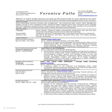 Vfs cv english | PDF