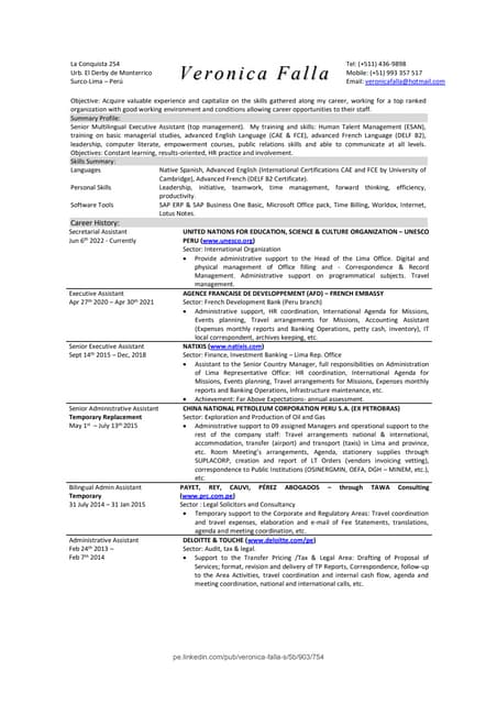 Vfs cv english | PDF