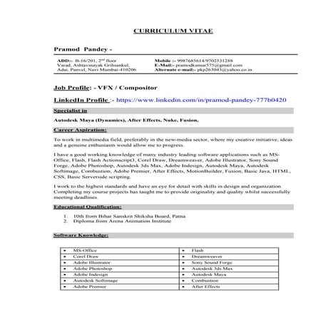 Vfx Artist Resume | PDF