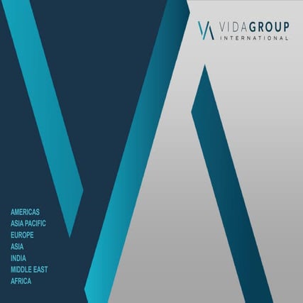 Vida Group Presentation | PPTX