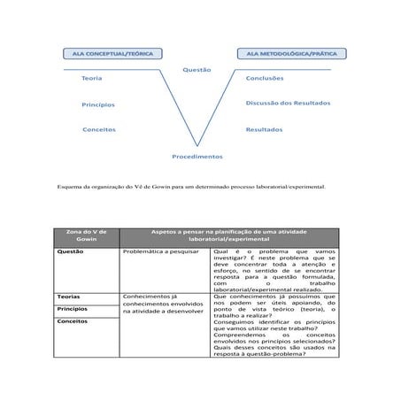 V gowin | PDF