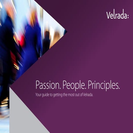 V guide 2016 | PDF | Management Consulting Industry | Industries