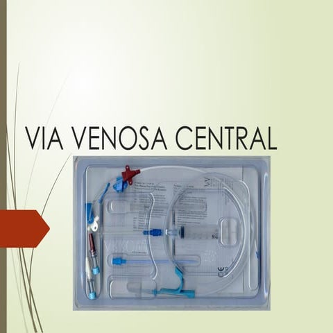 vIa CENTRAL y su colocación de acuerdos rep anat | PPTX