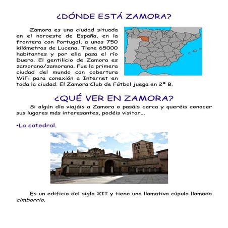 Guia Zamora.pdf