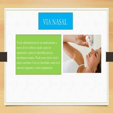 ESTUDIO DE LA VIA NASAL EN EL CUERPO HUMANO.pptx