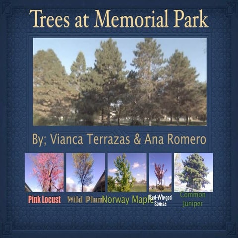 Classification of trees | PPT
