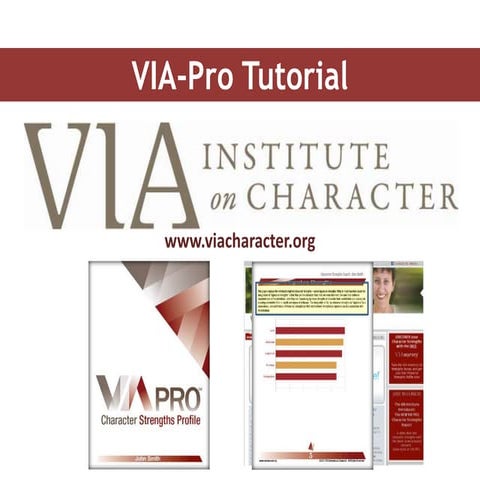 Character Strengths: VIA Pro Report Tutorial | PPTX