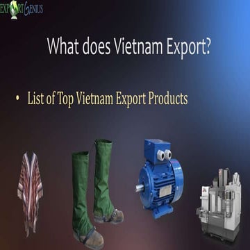 Vietnam's Top 10 Export Products | PPTX