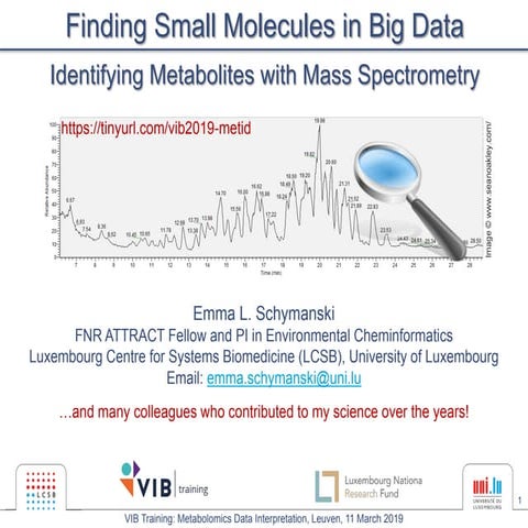 VIB Metabolite ID with MS March 2019 | PDF
