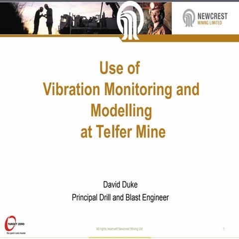 Vibration Presentation - David Duke v2.ppt