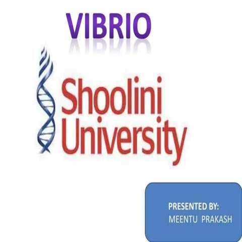 Vibrio cholera and other non cholera vibriod | PPTX
