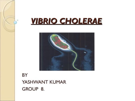 Vibrio cholerae PPT for students | PPT