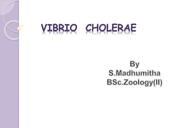 Vibrio cholerae PPT for students | PPT
